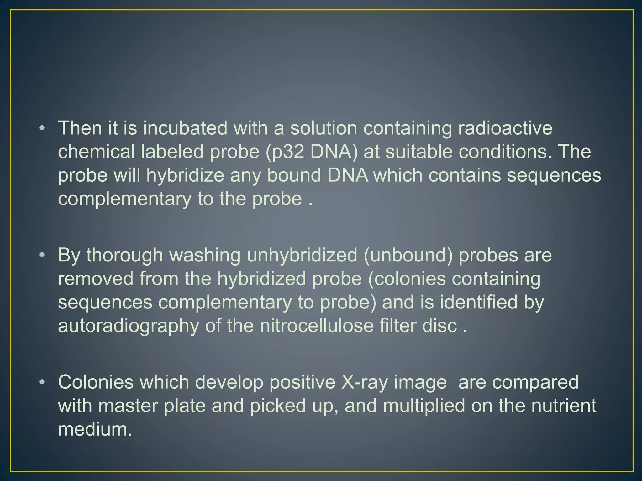 Selection & Screening of Recombinant cells & expression of recombinant ...