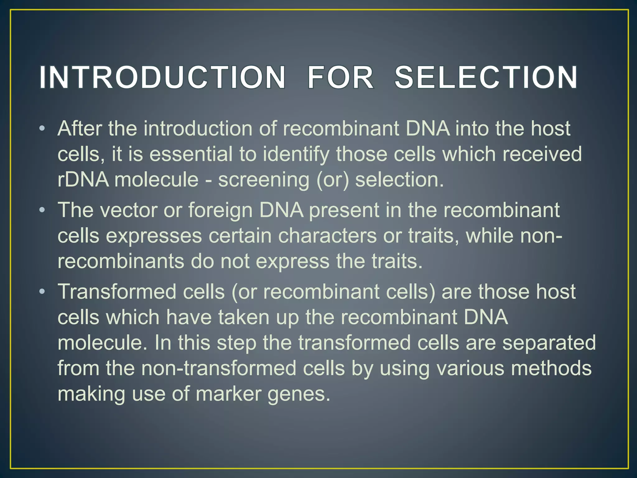 Selection And Screening Of Recombinant Cells And Expression Of Recombinant
