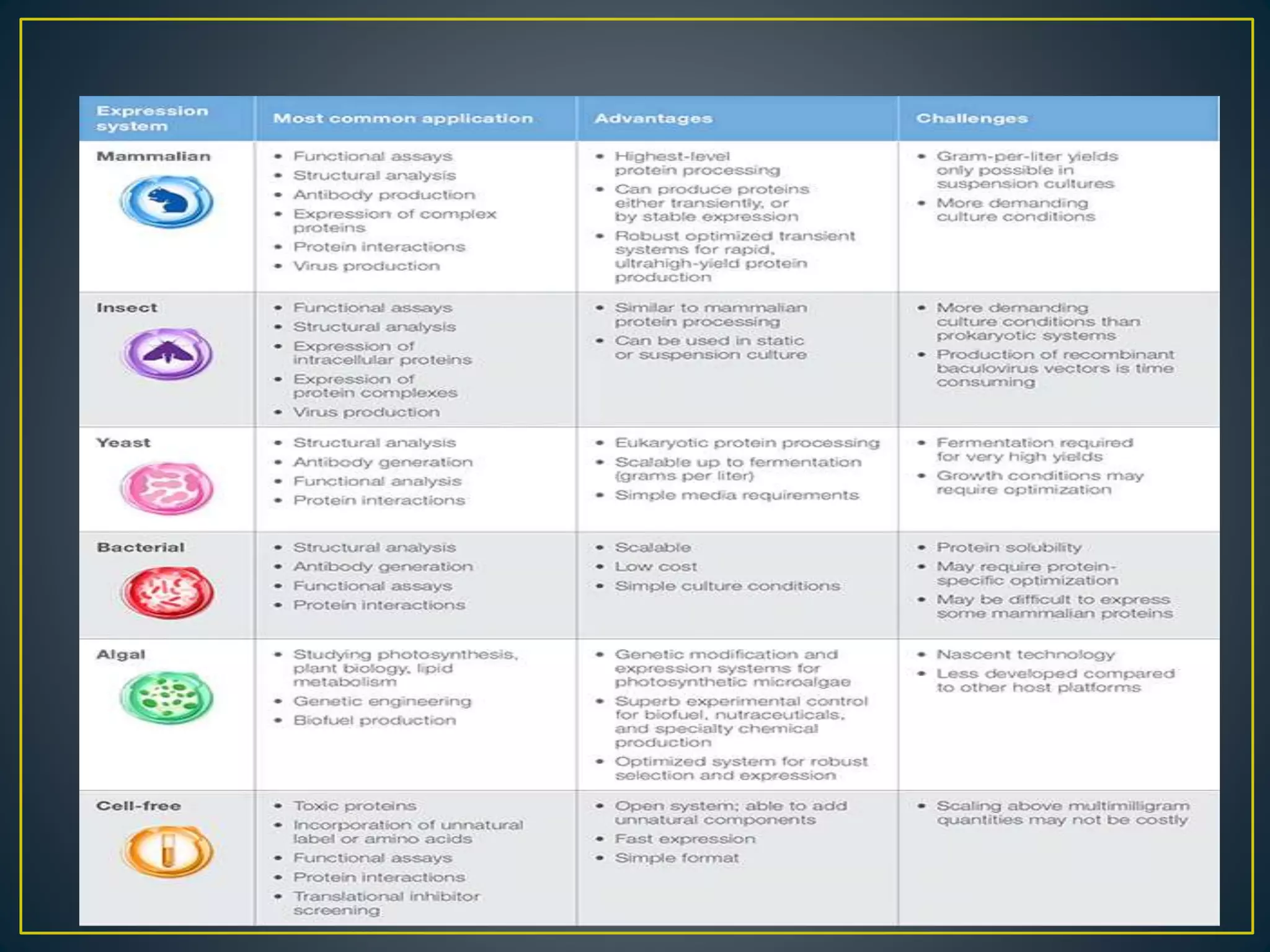 Selection And Screening Of Recombinant Cells And Expression Of Recombinant