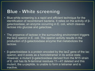 Selection & Screening of Recombinant cells & expression of recombinant ...