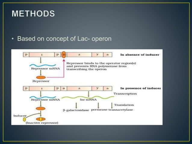 Selection And Screening Of Recombinant Cells And Expression Of Recombinant