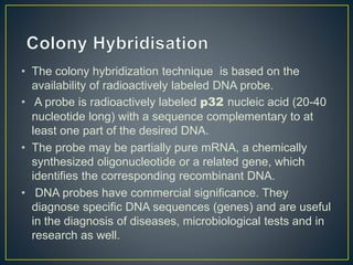 Selection & Screening of Recombinant cells & expression of recombinant ...
