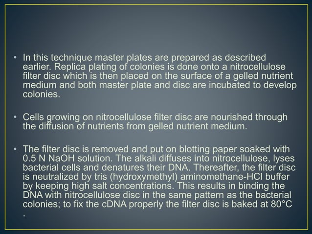 Selection And Screening Of Recombinant Cells And Expression Of Recombinant