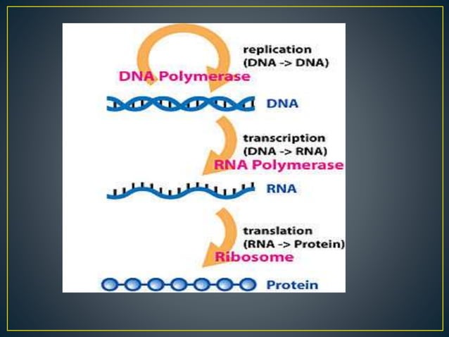 Selection & Screening of Recombinant cells & expression of recombinant (2) (1) | PPTX