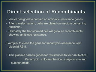 Selection & Screening of Recombinant cells & expression of recombinant ...