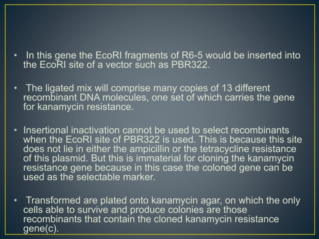 Selection And Screening Of Recombinant Cells And Expression Of Recombinant
