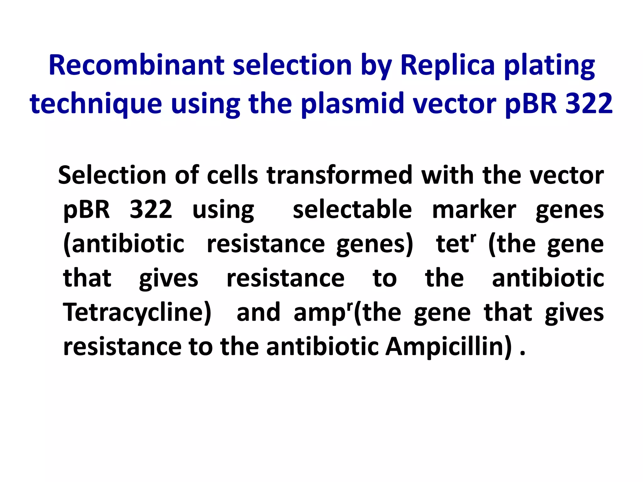 Biotechnology : Selection of Transformed Cells SMG | PPTX