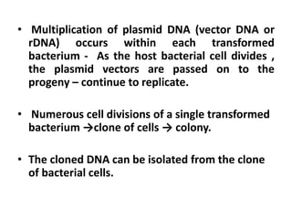 Biotechnology : Selection of Transformed Cells SMG | PPTX