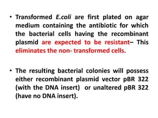 Biotechnology : Selection of Transformed Cells SMG | PPTX