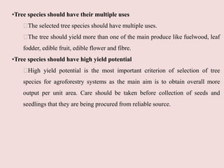 Selection of tree for agroforestry | PPTX