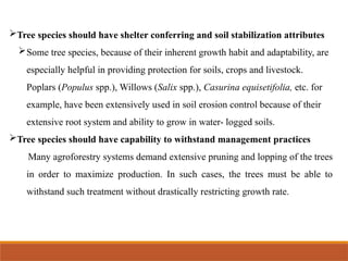 SelectionofTreeforAgroforestry.ppt..[1]x | PPTX