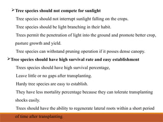 SelectionofTreeforAgroforestry.ppt..[1]x | PPTX
