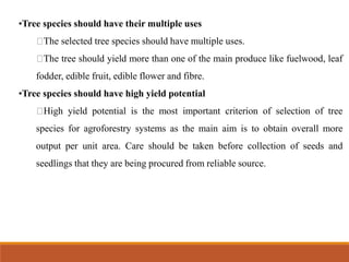 SelectionofTreeforAgroforestry pptx.pdf