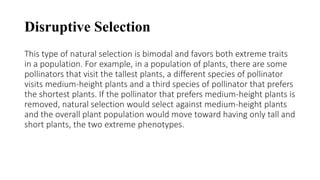 Selection pressure and its types.pptx PBG | PPTX