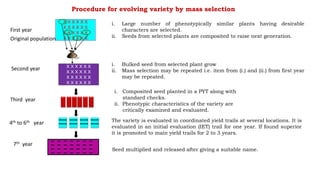 Selection: pure line, mass and pedigree breeding methods for self ...