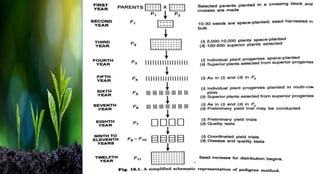 Selection: pure line, mass and pedigree breeding methods for self ...