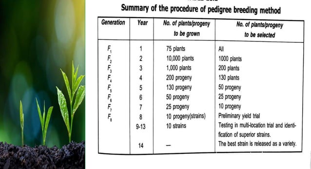 Selection: pure line, mass and pedigree breeding methods for self ...