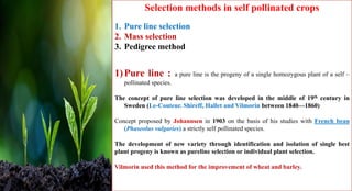 Selection: pure line, mass and pedigree breeding methods for self ...