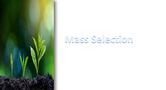 Selection: pure line, mass and pedigree breeding methods for self ...