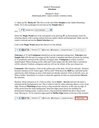 Photoshop Selections | PDF