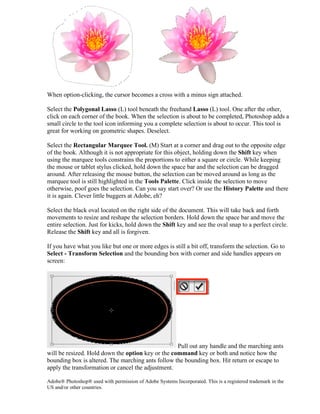Photoshop Selections | PDF