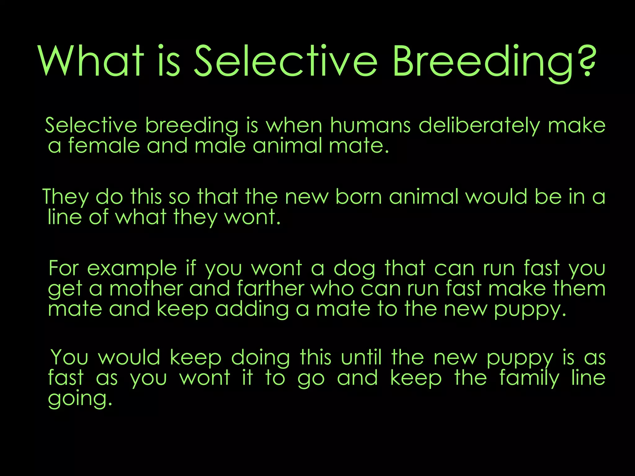 selective breeding | PPT
