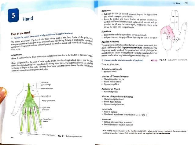 Selective Anatomy Vol 1.pdf by visharam singh | PDF