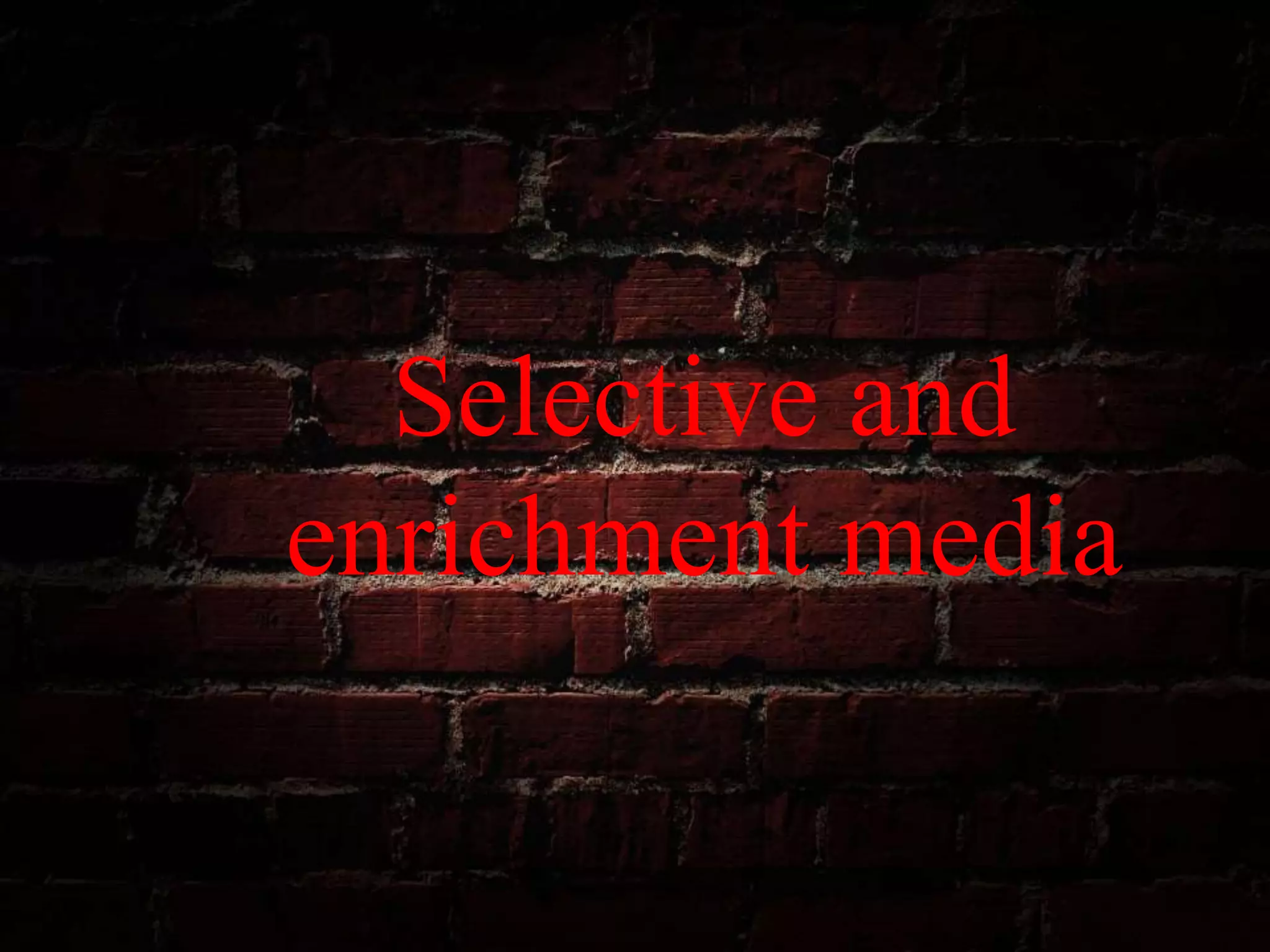 Bacterial Growth Curve