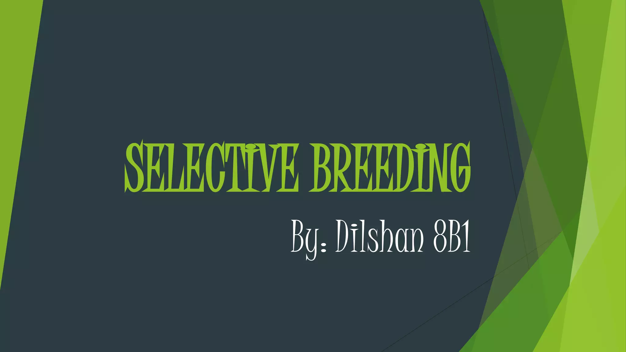 Selective Breeding | PPTX