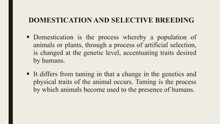 Selective Breeding - Villanuevaxxxxx.pdf