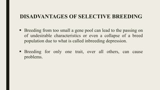Selective Breeding - Villanuevaxxxxx.pdf
