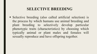Selective Breeding - Villanuevaxxxxx.pdf