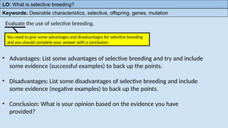 Selective breeding (1).pptx for year 9 a | PPTX