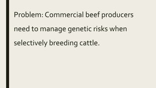 Selective breeding in cows risks | PPTX