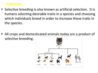 Selectivebreedingpowerpoint 130416182435-phpapp01 | PPT | Genetics ...