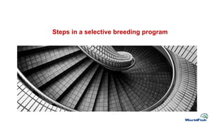 Selective breeding Program (practical).pdf