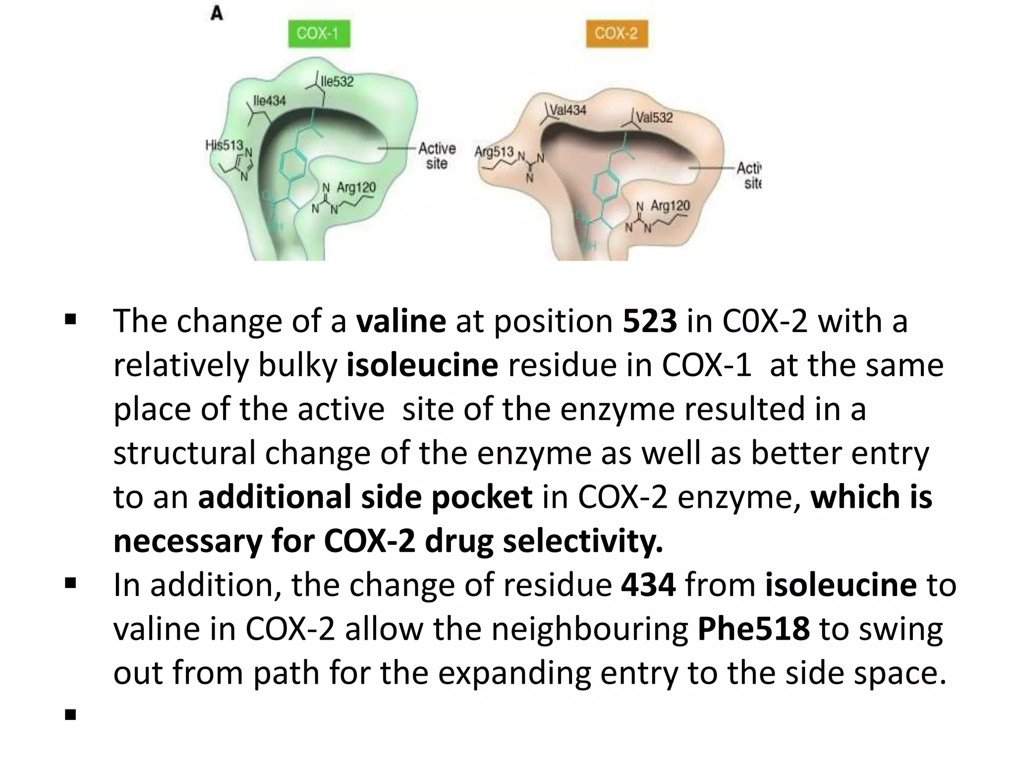 Selective cox 2 inhibitors design by siddharth | PPTX