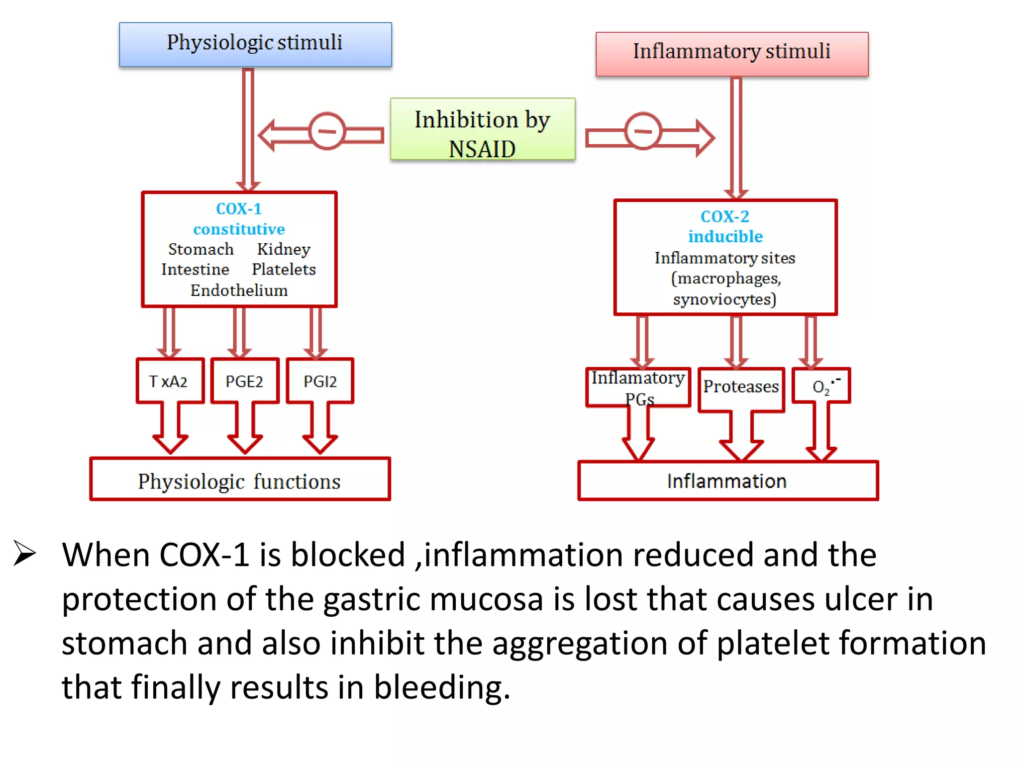 Selective cox 2 inhibitors design by siddharth | PPTX
