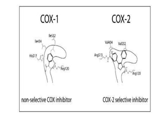Selective cox 2 inhibitors design by siddharth | PPTX