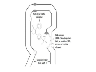 Selective cox 2 inhibitors design by siddharth | PPTX