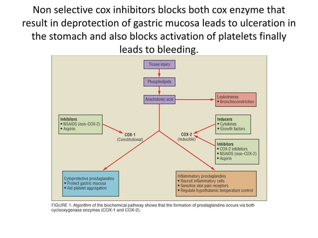 Selective cox 2 inhibitors design by siddharth | PPTX | Digestive ...