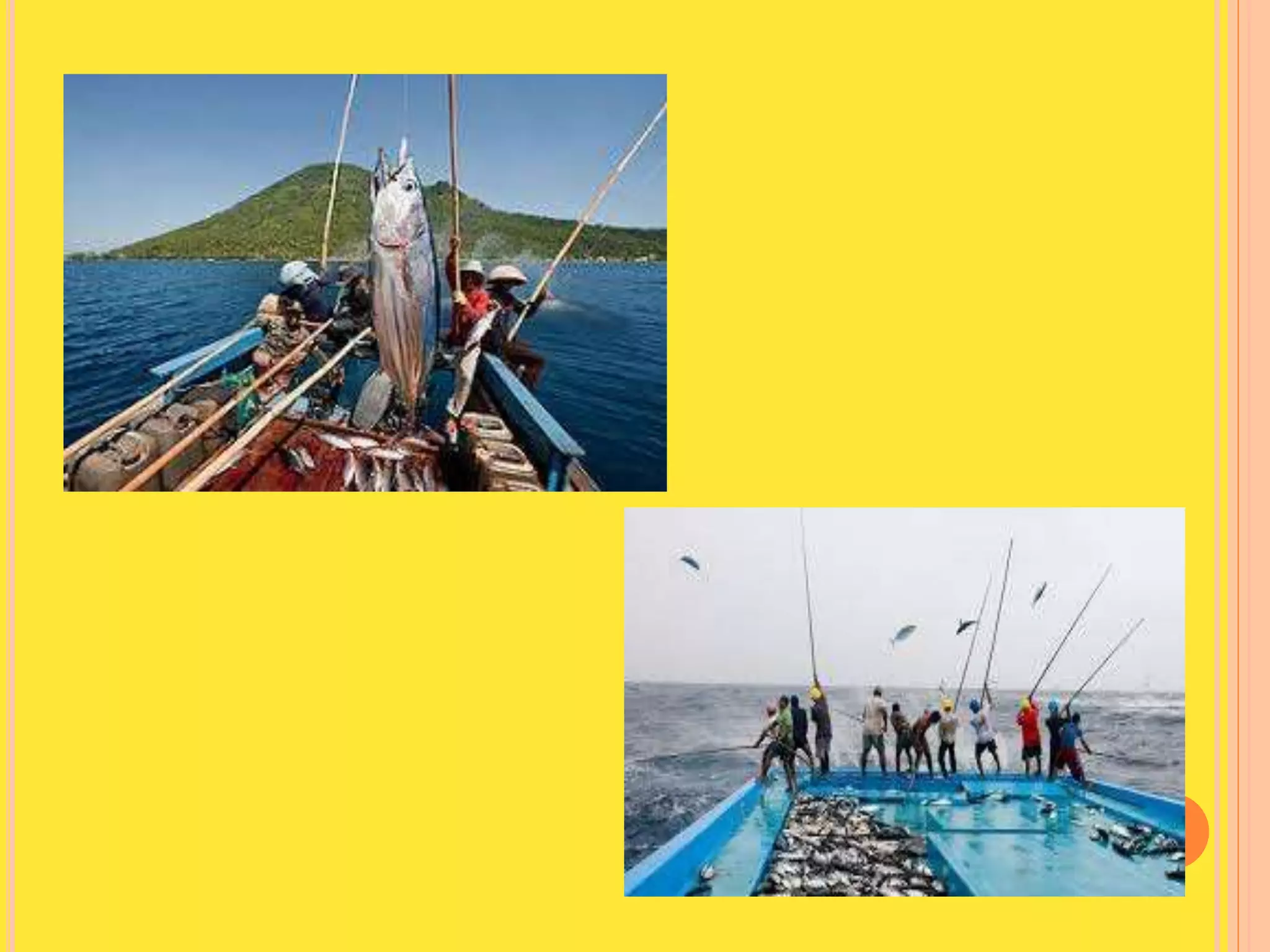 Selective fishing gear and practice | PPTX