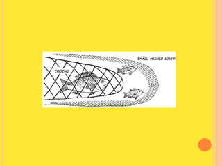 Selective fishing gear and practice | PPTX