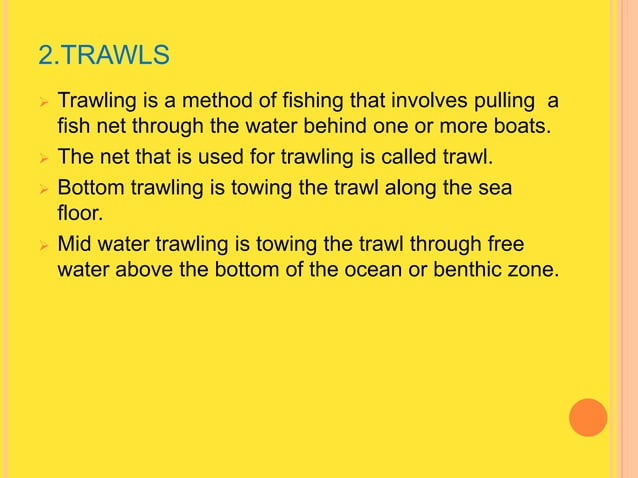 Selective fishing gear and practice | PPTX | Fish and Aquariums | Pets