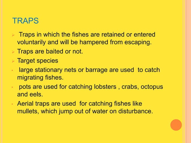 Selective fishing gear and practice | PPTX | Fish and Aquariums | Pets