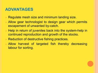 Selective fishing gear and practice | PPTX