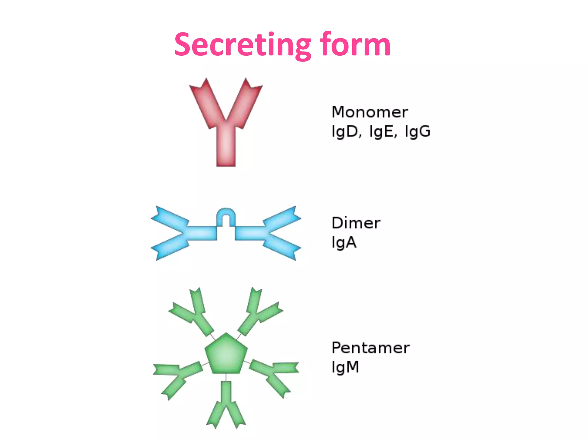 Selective igA deficiency | PPTX
