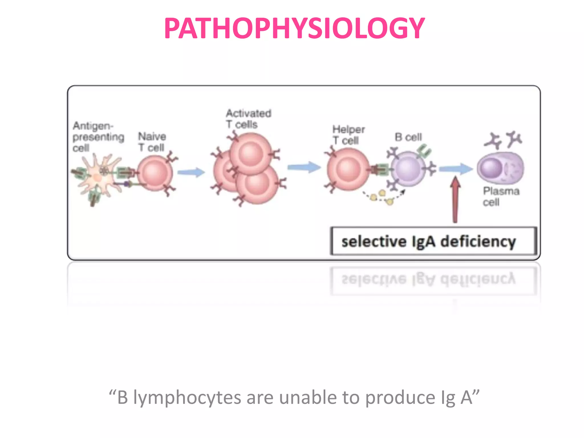 Selective igA deficiency | PPTX