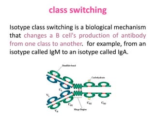 Selective igA deficiency | PPTX