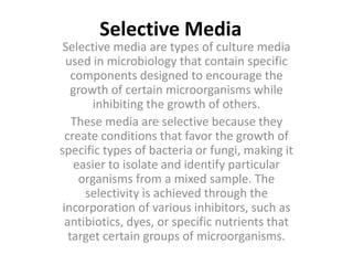 Selective Media-1.pptx